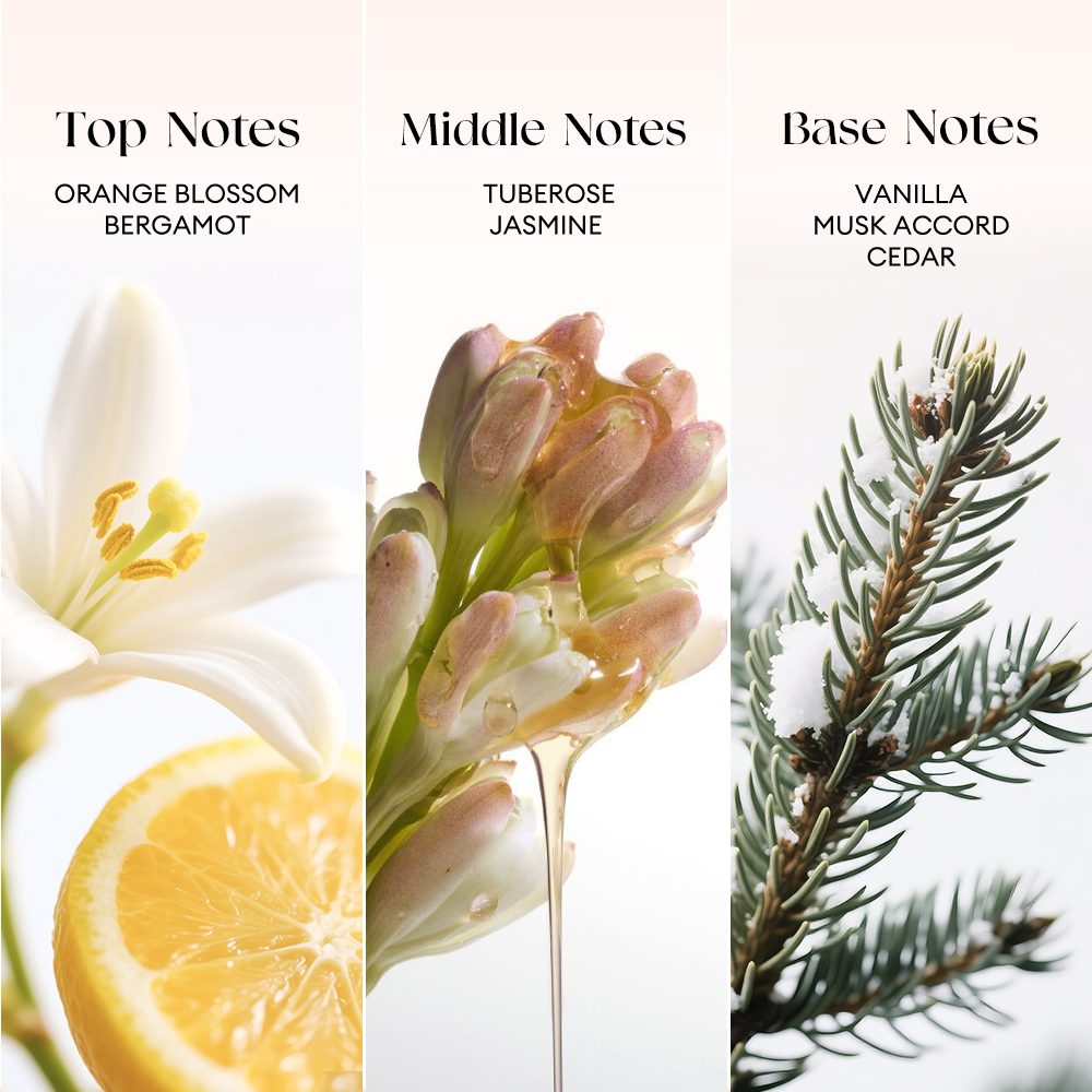 【Tuberose】O.TWO.O Perfume Long Lasting 12H Floral Orange blossom ...