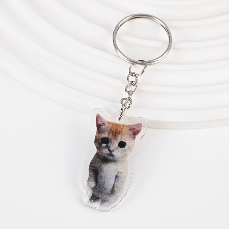 Cute meme Crying Banana Cat Keychain Acrylic Emoji Cartoon Key Ring ...