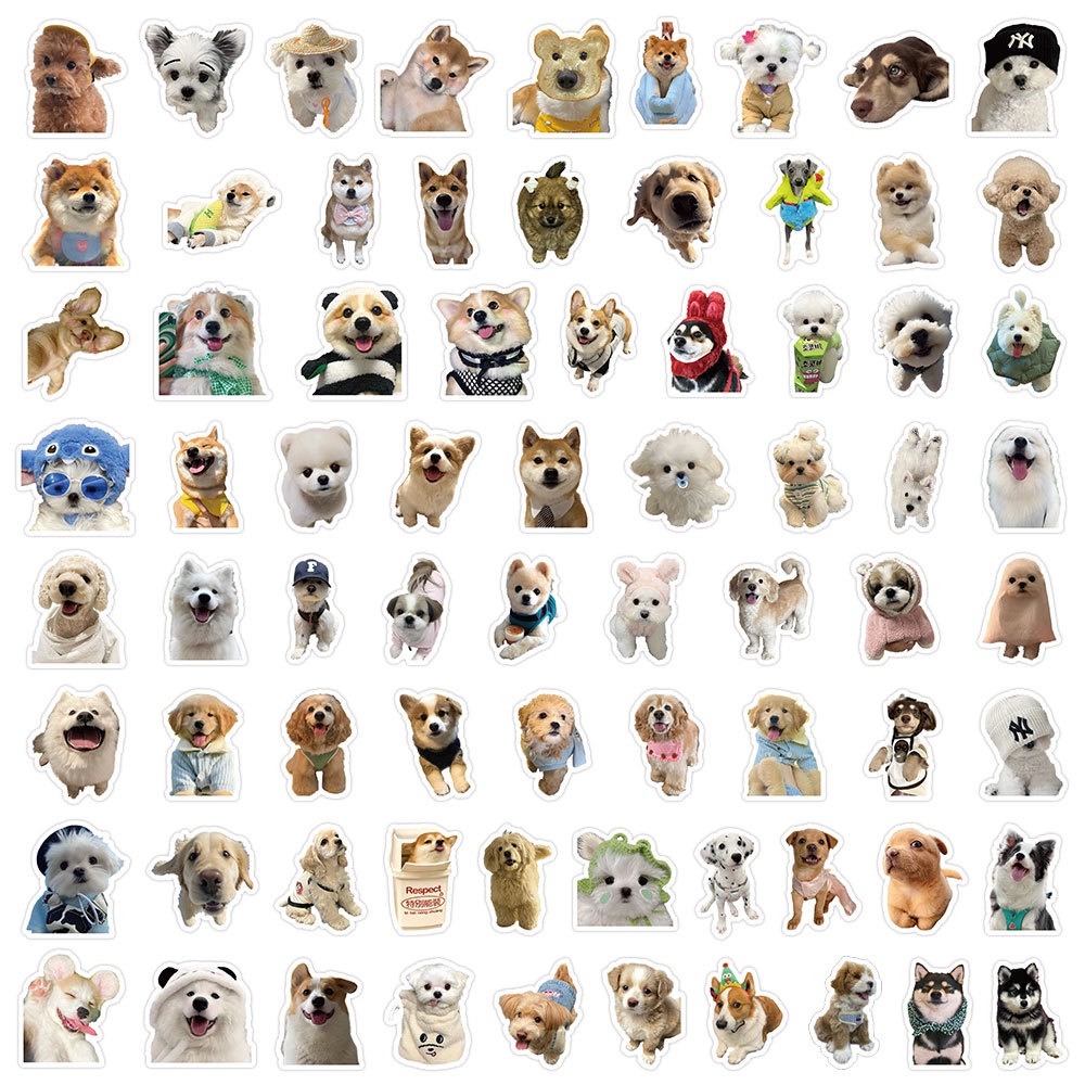 LanLanStickersWorld Cute Pet Stickers – 100/200pcs Puppy & Kitten ...