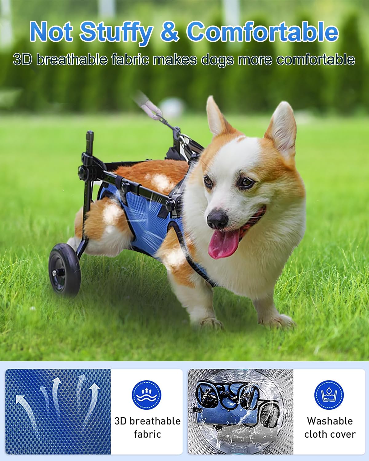 Dog Wheelchair For Back Legs, Cart Doggy Wheelchair With Disabled Hind ...