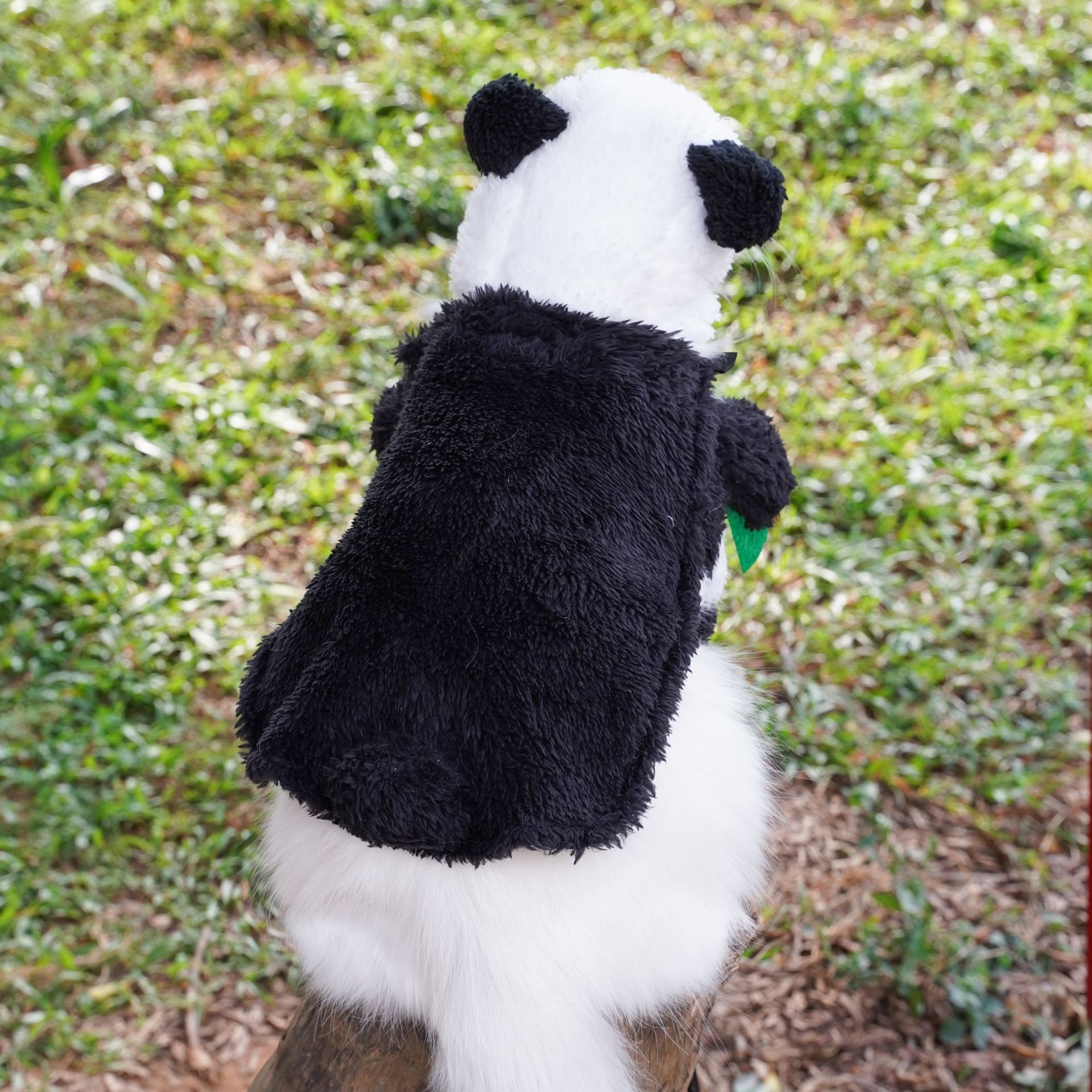 MOLAMGO Photography Prop Soft Funny Cosplay Panda Costume Dog Clothes ...