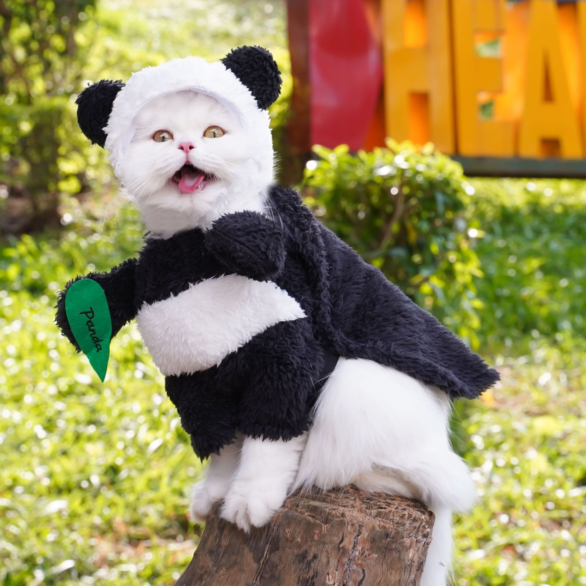 MOLAMGO Photography Prop Soft Funny Cosplay Panda Costume Dog Clothes ...