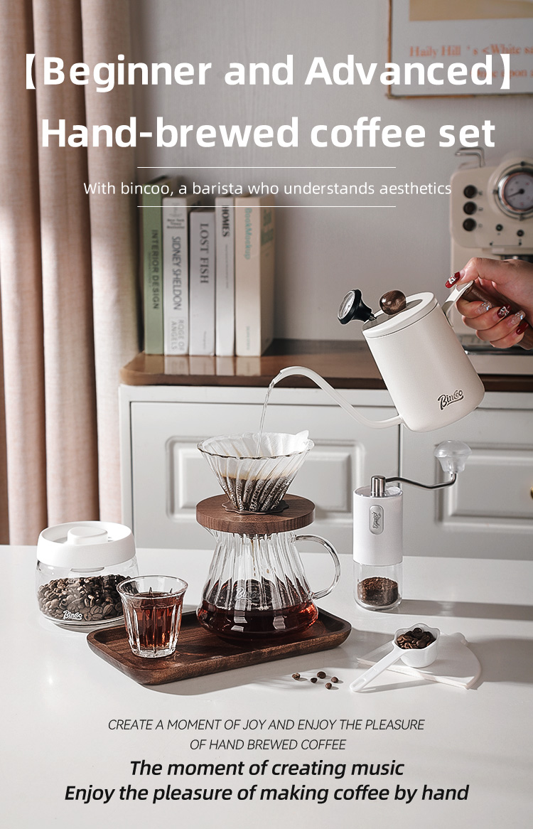 BINCOO Hand Brew Coffee Pot Set Home Filter Cup Sharing Pot Manual ...