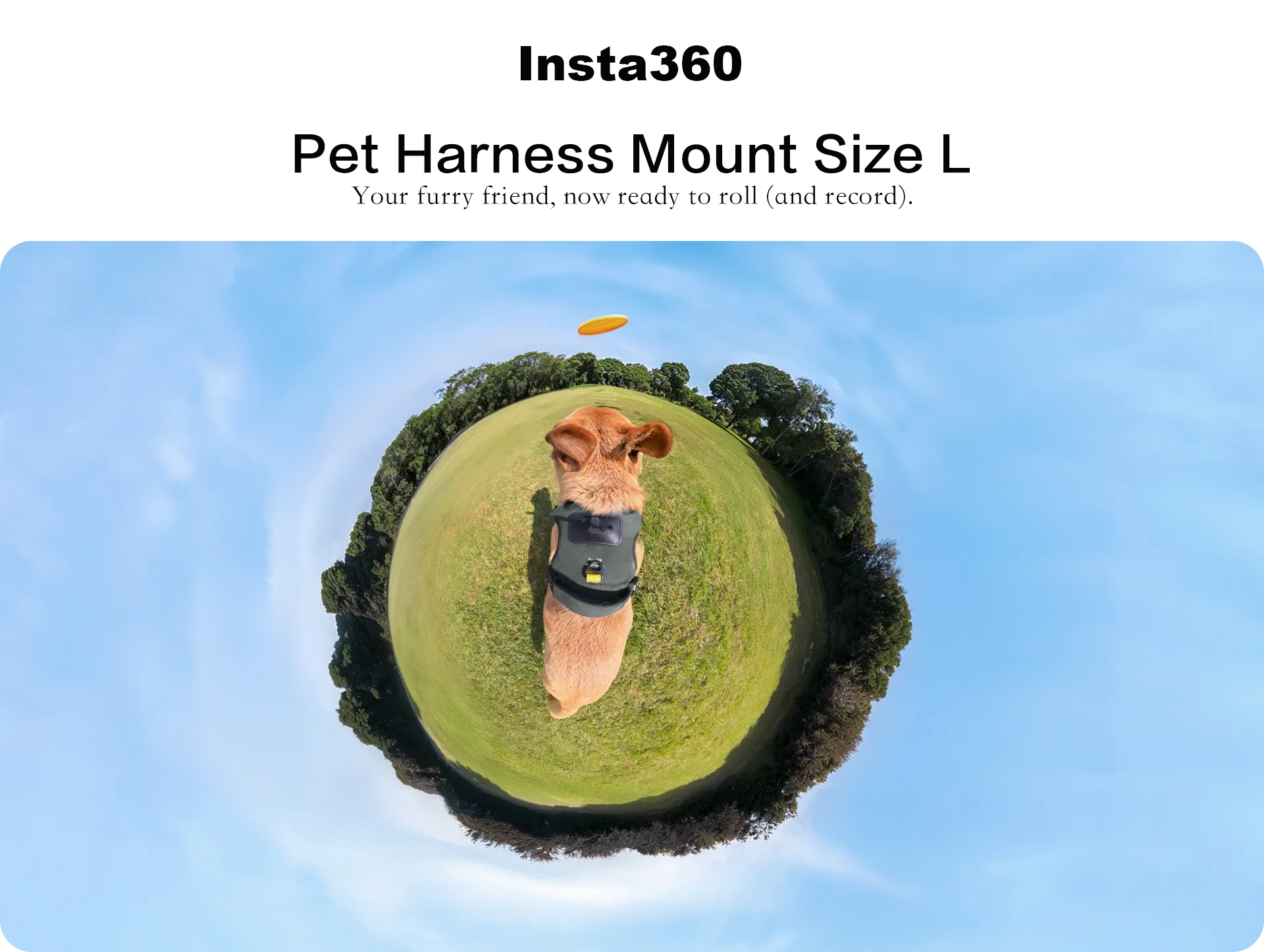 Insta360 Pet Harness Mount for insta360 X5/Ace Pro 2/X4/GO 3S/Ace Pro ...
