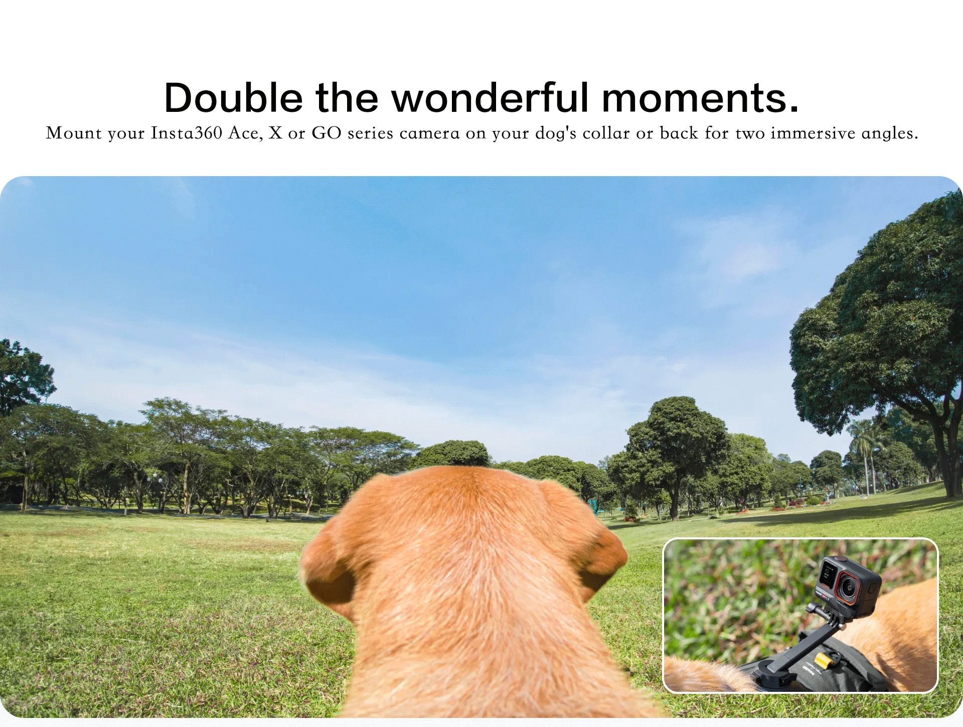 Insta360 Pet Harness Mount for insta360 X5/Ace Pro 2/X4/GO 3S/Ace Pro ...