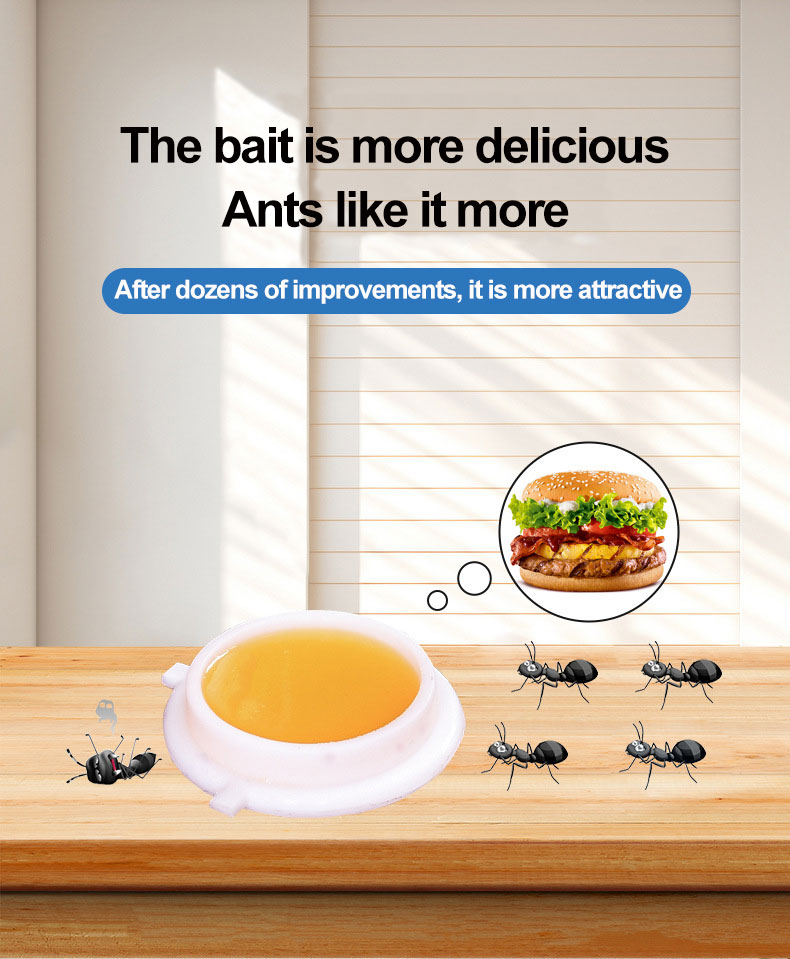 【Direct attack on ant nest】Ant bait Ant Killer Killants at their source ...
