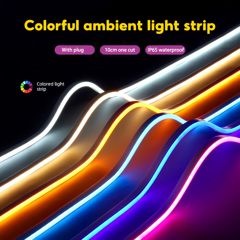 220v 5m/10m neon lamp waterproof strip light decorative lights flexible ...
