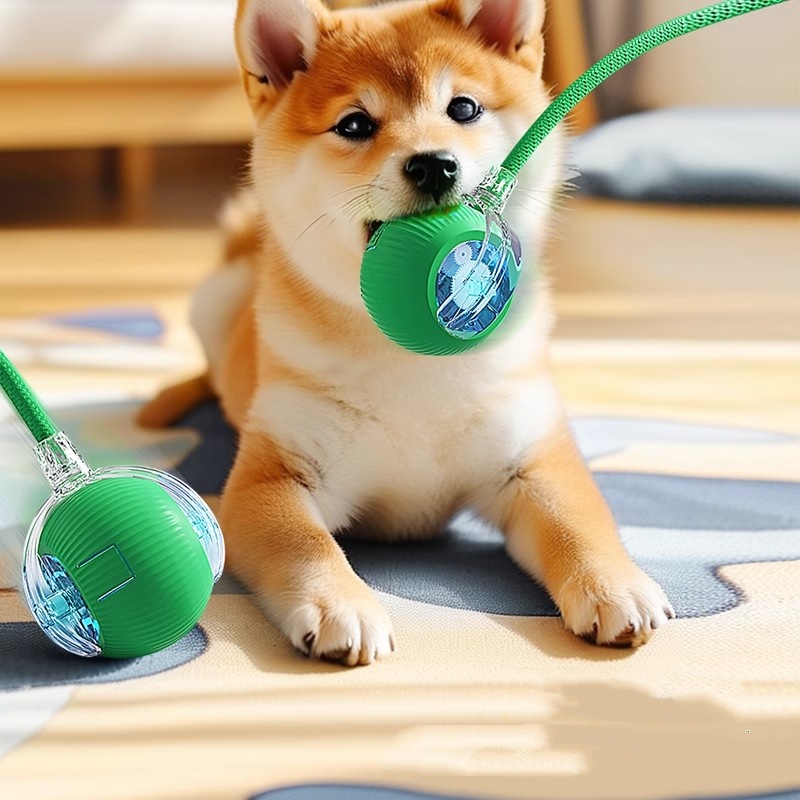 MagicPet Automatic Rolling Electric Pet Toy Ball with USB Charging for ...