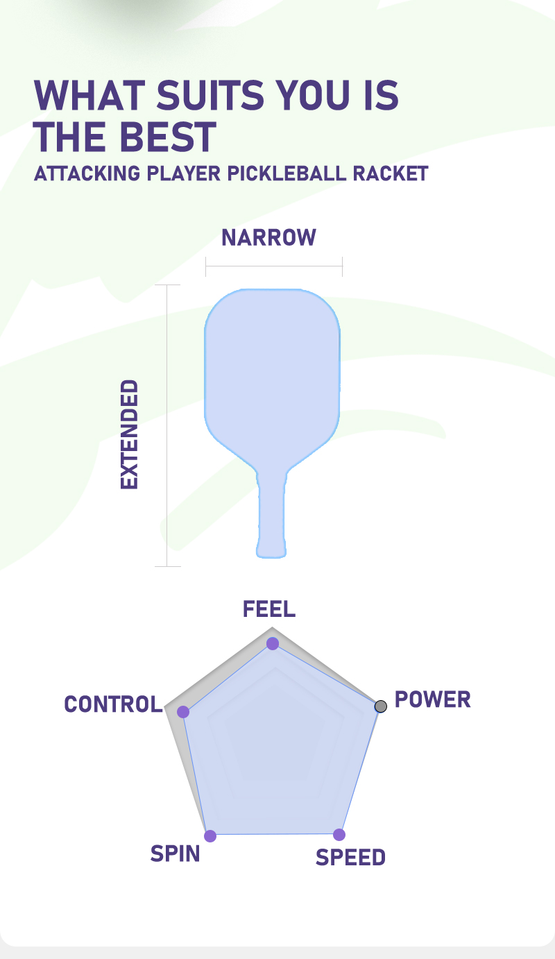 Kawasaki 2pcs Pickleball Paddle GALAXY&AURORA 220g Fiberglass Pickle ...