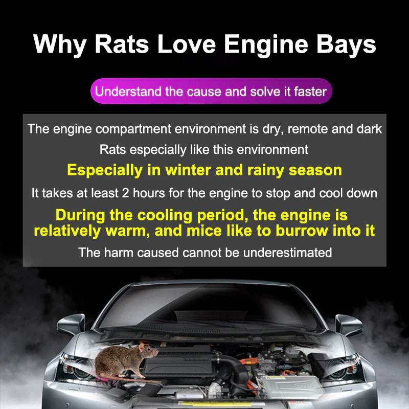 RAT OFF SPRAY ANTI RAT SPRAY 200ml Rat Mouse Repellent Spray Rat ...
