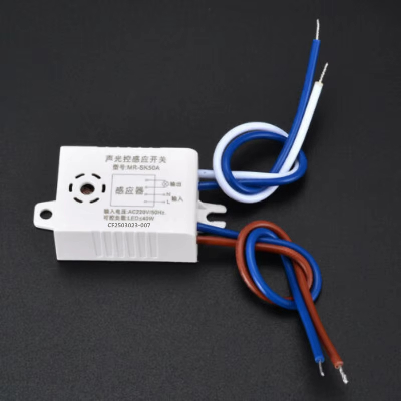 220V Sensor Smart Light Switch On Off Detector Sound Voice Smart Auto ...
