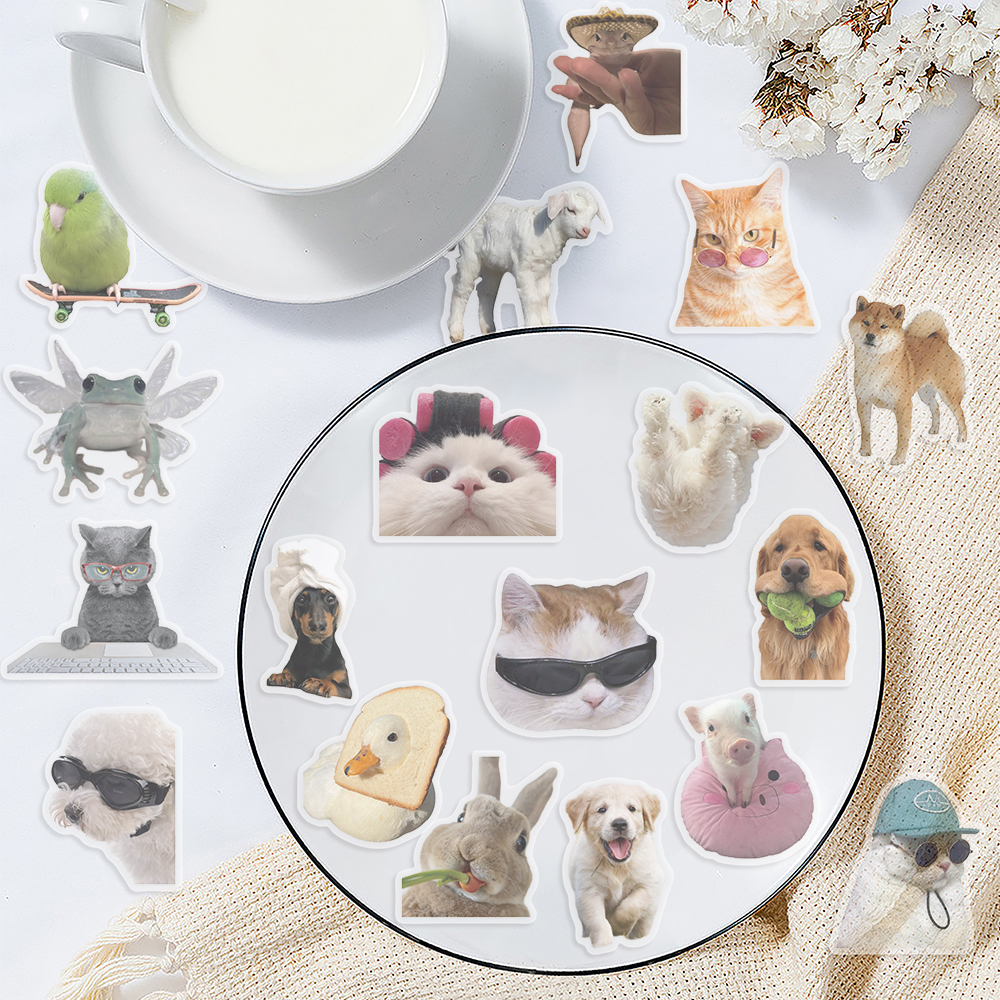 50PCS Cartoon Cats Dogs Meme Transparent Sticker DIY Phone Luggage ...