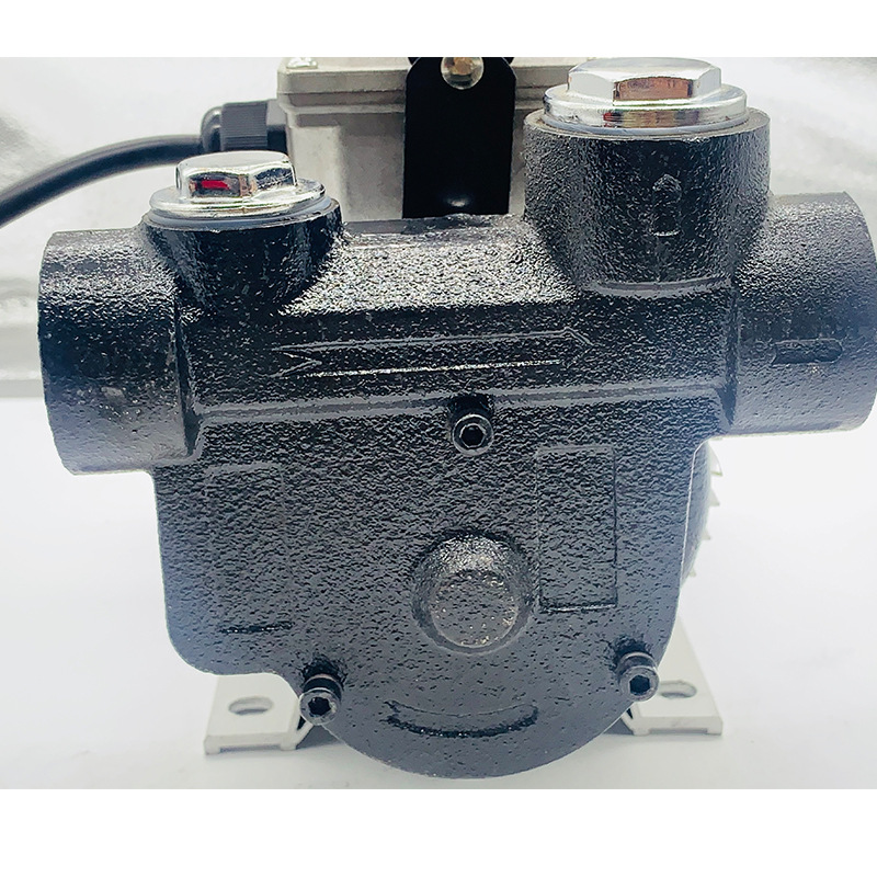 220V 80L/min 550W Electric Oil Pump Large Flow DC Diesel Fuel Dispenser ...