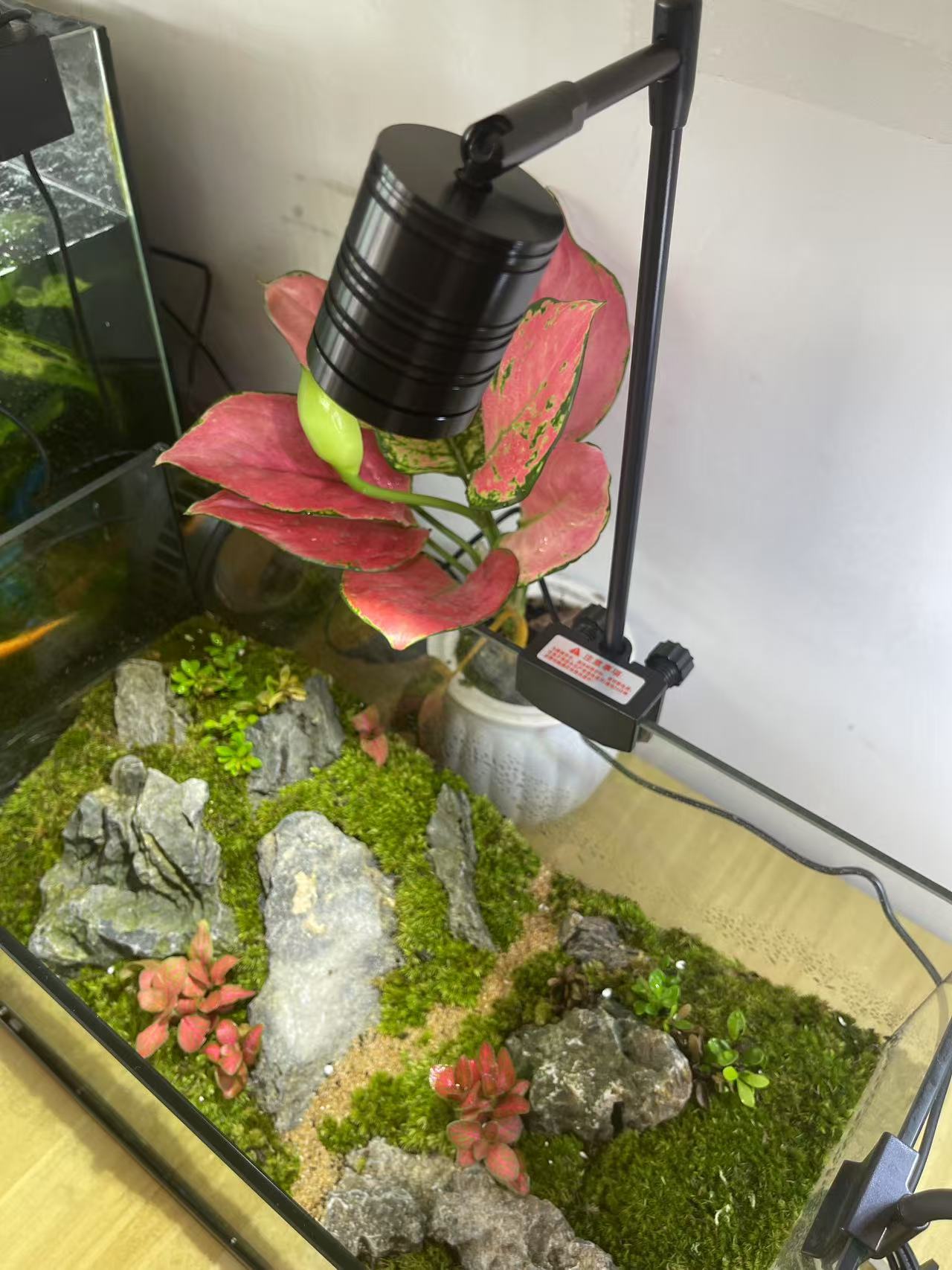 Aquarium Light Fish Tank Light Aquatic Plant Lamp Burst Algae Tank Lamp ...