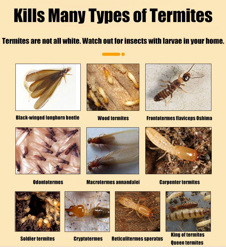 Use once, effective for 10 years Termite killer BUY1 TAKE1 Dinotefuran ...