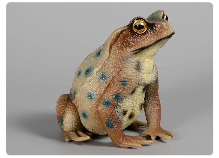 Realistic Toad Frog Figure Plastic Hand Painted Wild Animal Insects ...