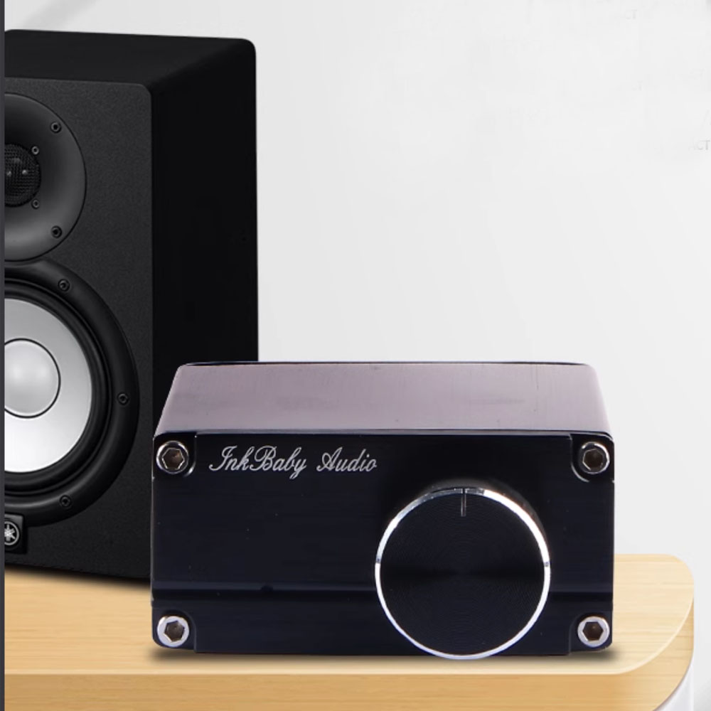 B3 Mono 100W Digital HIFI Professional Subwoofer Low Frequency SUB ...