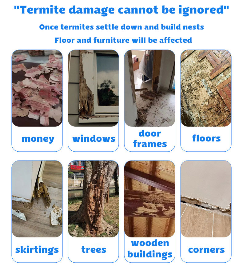 Termite killer spray 500ml suitable for pregnant and infants safe and ...