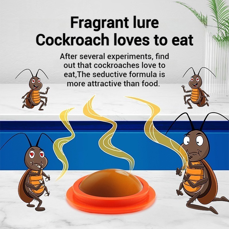10Pcs Cockroach killer Cockroach Bait Roach Motel Cockroach Repeller ...