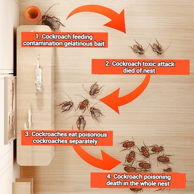 10Pcs Cockroach killer Cockroach Bait Roach Motel Cockroach Repeller ...