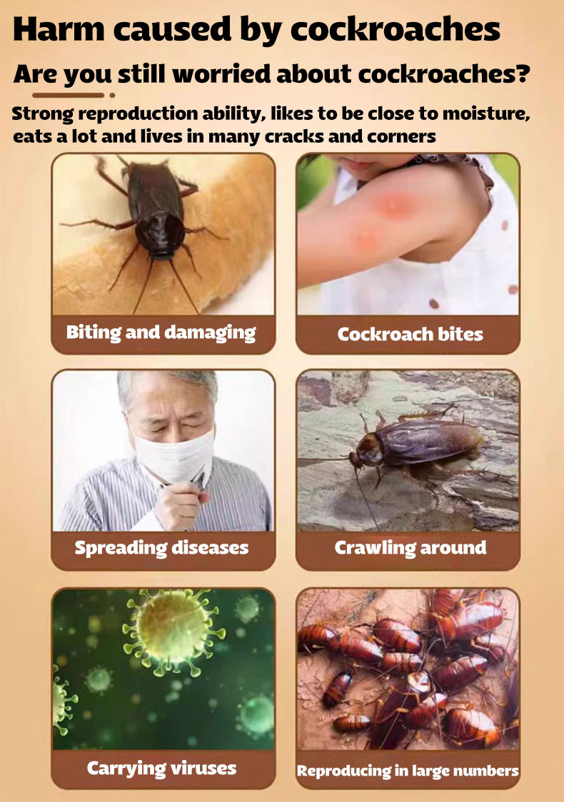 10 years of cockroach-free Cockroach killer for home BUY1 TAKE1 ...