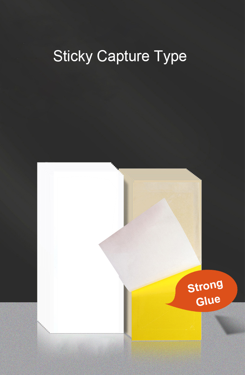 ticky fly mosquito board hang easy | Shopee Philippines