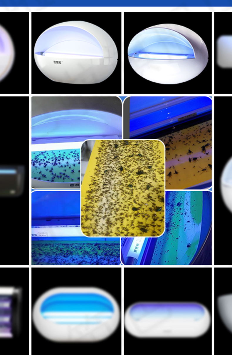 ticky fly mosquito board hang easy | Shopee Philippines