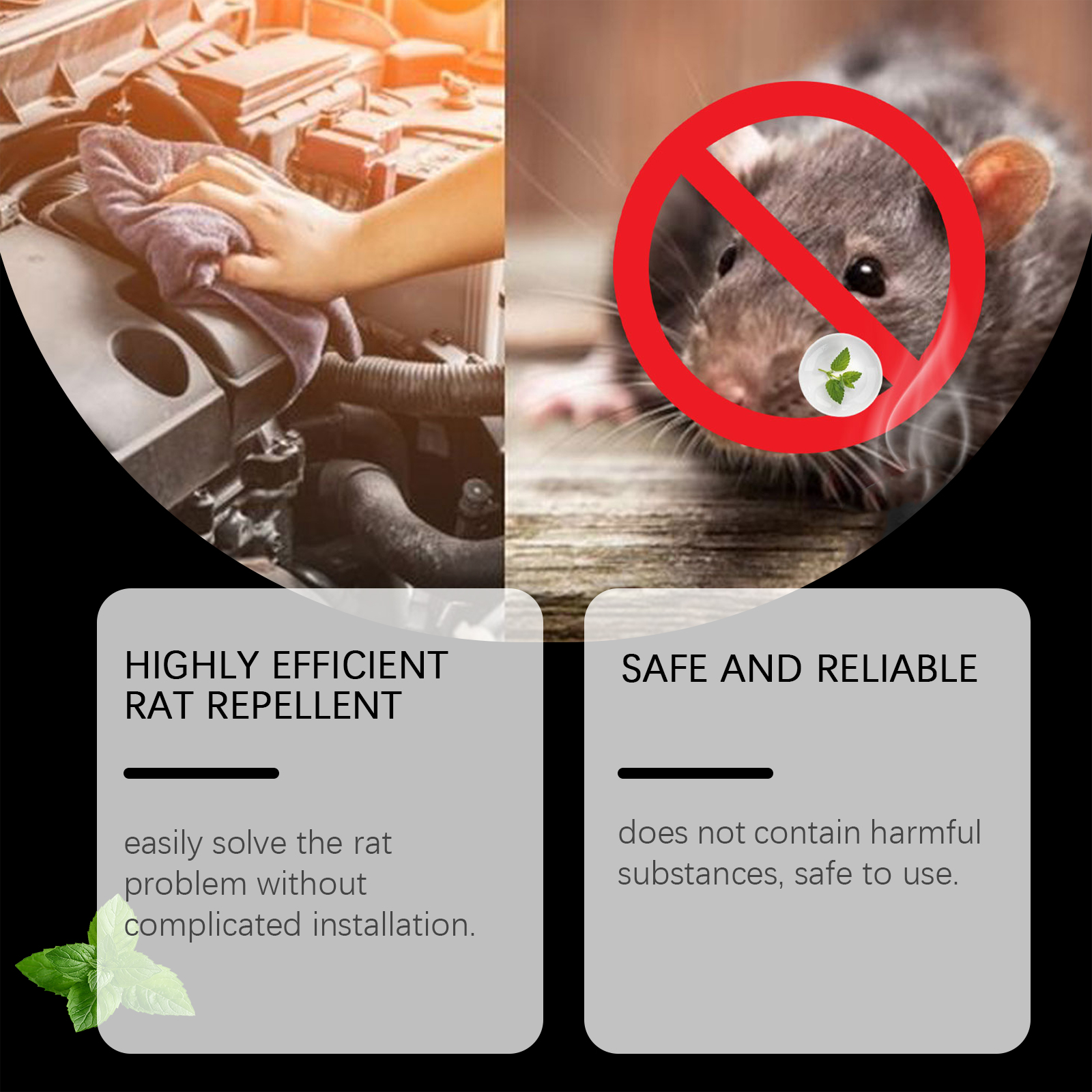 New Rayhong Anti Rat Treatment Spray Car Rat Repellent Spray Mild Easy ...