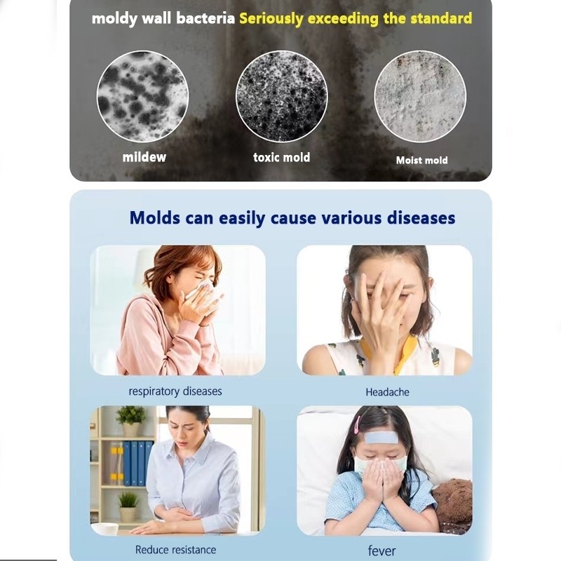 Mold Remover Spray Anti Mildew Spot Removal 500ml Non-Toxic Furniture ...