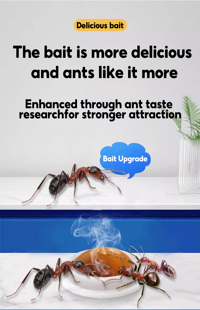 30 pcs/box DM Ant bait Ant repellent for home Ant killer Lure and ...