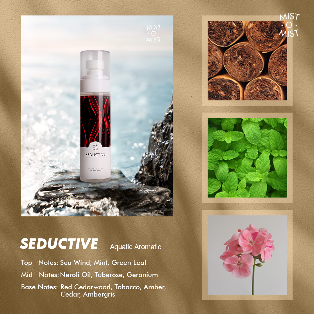 【BUY1 GET1】Mist-o-Mist Long Lasting Perfume for Women | Portable ...