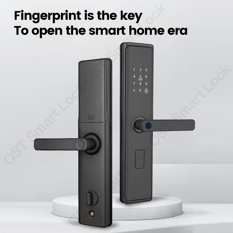 Smart Door Lock with Doorbell Fingerprint/IC card/Passcode Electronic ...