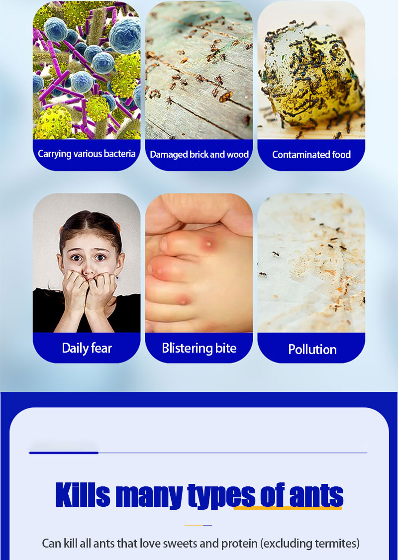 Powerful killing of ant nests KAMI Ant bait killer Anti ants killer Ant ...