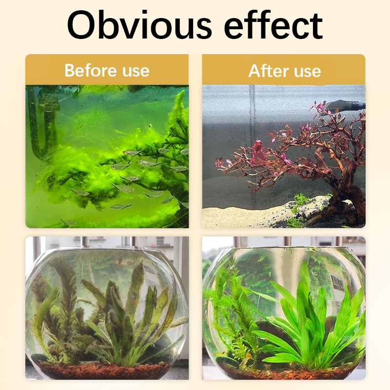 algae remover for aquarium 150 tablets algaecide Removing Algae,Clear ...