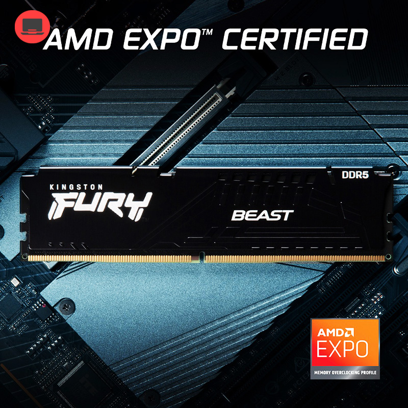 Kingston Fury Beast DDR5 Desktop RAM 8GB / 16GB 4800MT/S / 5600MT/S Gaming Memory For PC ...