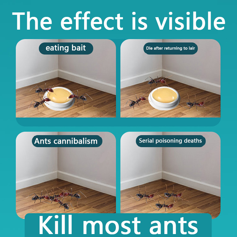 ant bait for home 10pcs ant killer anti ants killer ant repellent for ...
