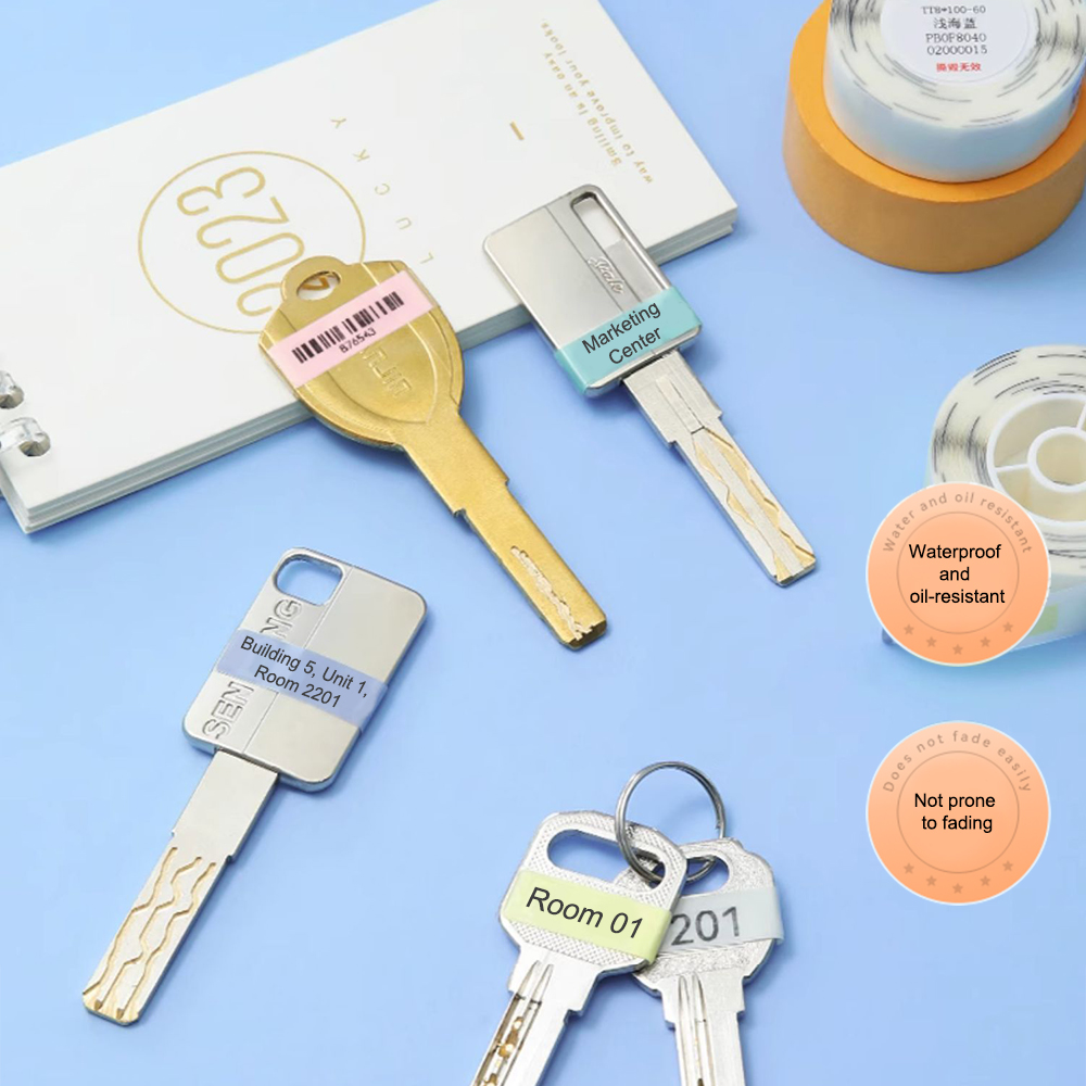Local-NIIMBOT B21/B1/B3S Key Label Paper for Key Classification Labels ...