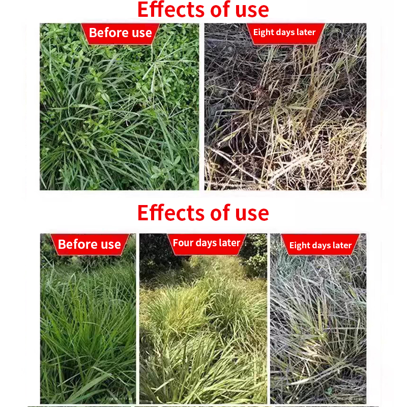 glyphosate herbicide 50g herbicide grass killer grass killer grass ...