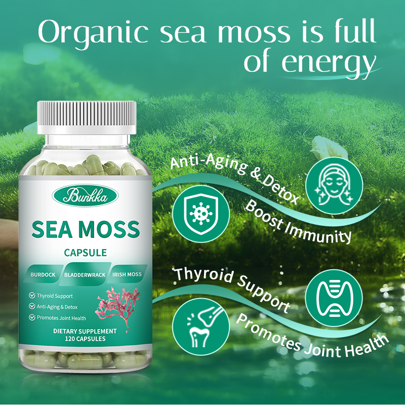 Bunkka Organic Irish Sea Moss Capsules Immune Support Digestive Health ...