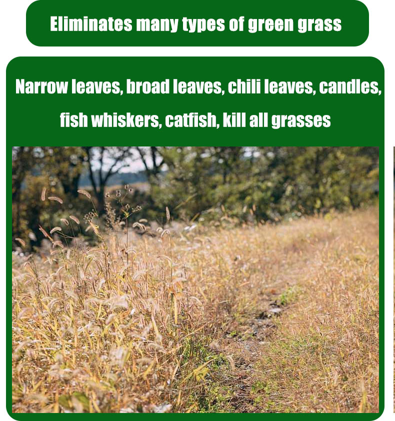 Herbicide Grass Killer 500G, Root Removal, Tree & Bamboo, Thorough Root ...