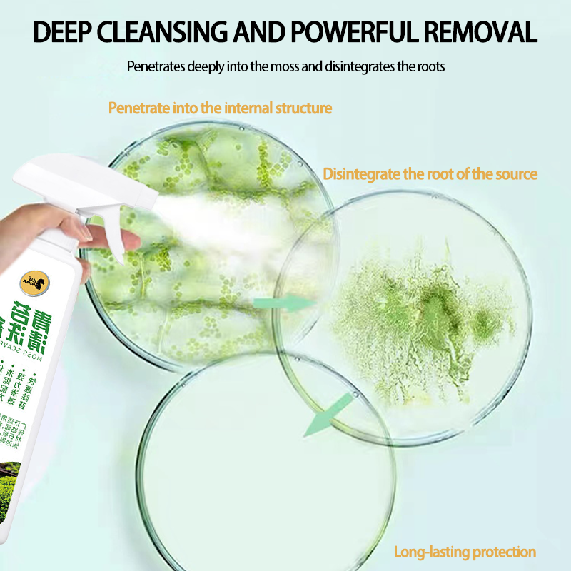 cement moss remover Spray 500ml Ground Moss Cleaner Kills Moss ...