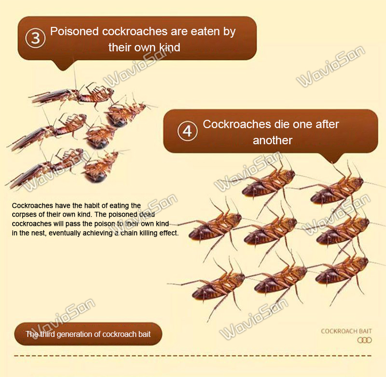 50 years without Cockroach GB Cockroach killer Cockroach bait Cockroach ...