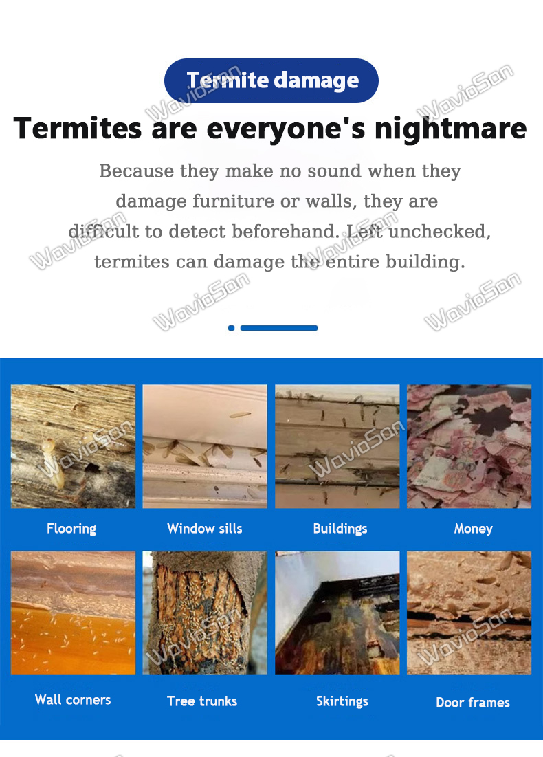 Kill termites: 1 spray done! XXM Termite killer spray Termite killer ...