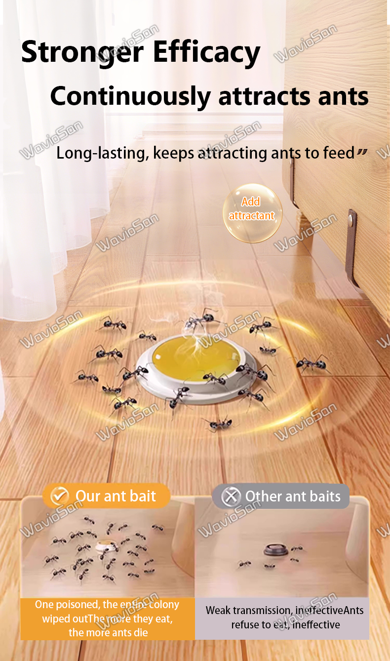 Kills the Ants in 1 Day GB Ant killer Ant bait Ant killer powder Anti ...