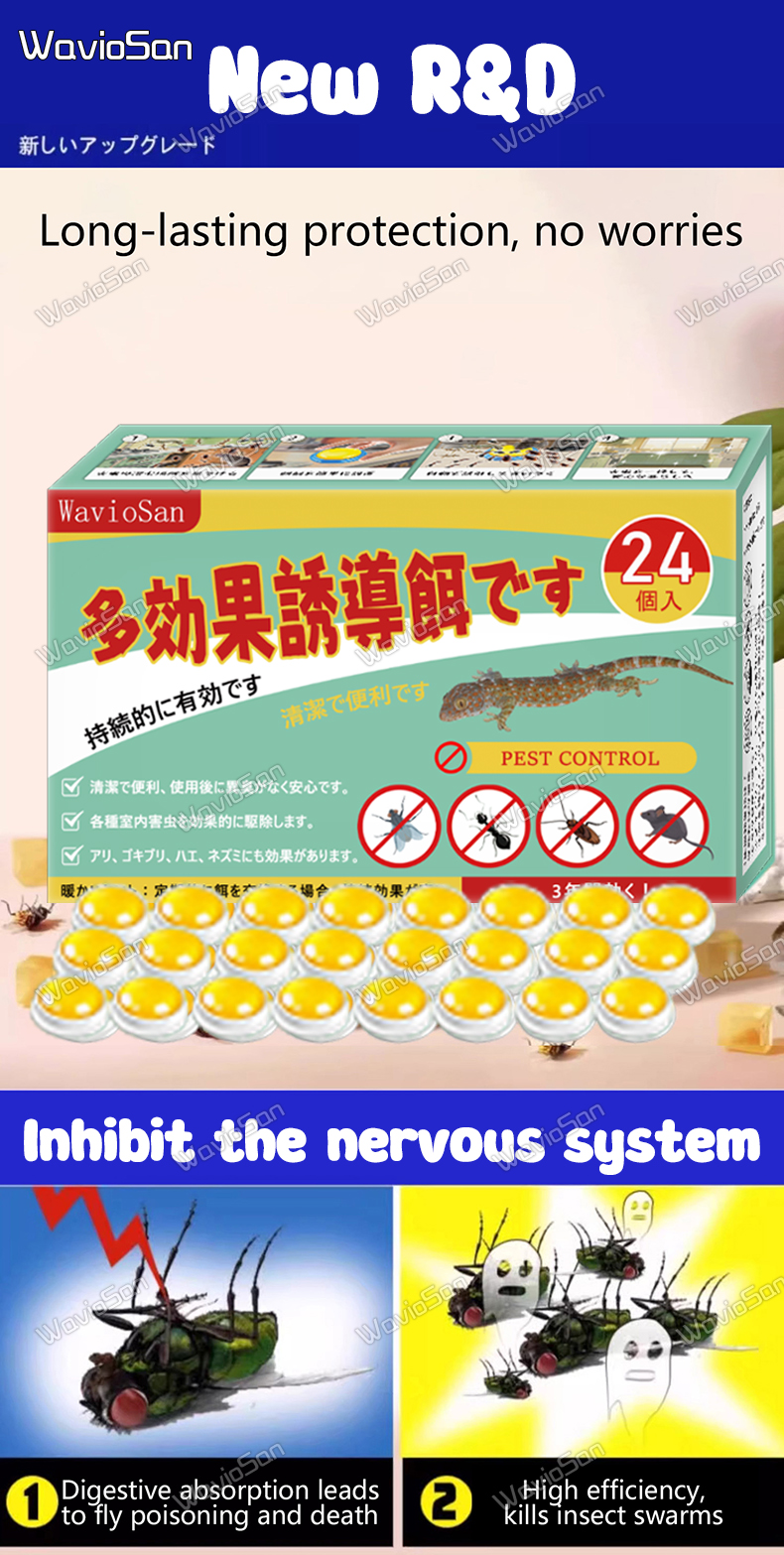 🪰Kill all flies in three seconds🪰KAMI Fly killer bait Fruit fly trap ...