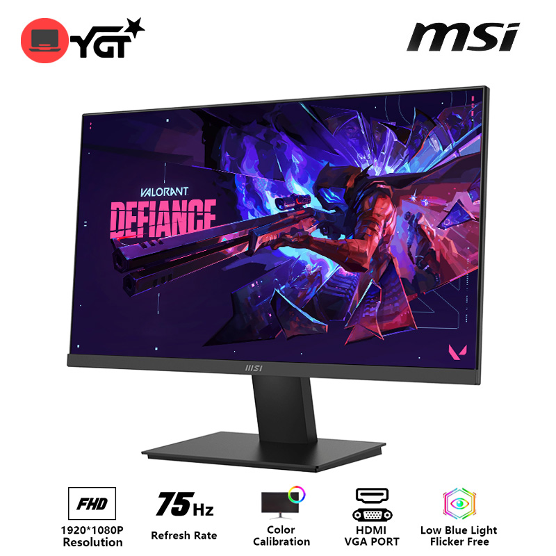 MSI PRO 24 Inch Monitor 1080P FHD IPS Office / Gaming Monitor For PC ...