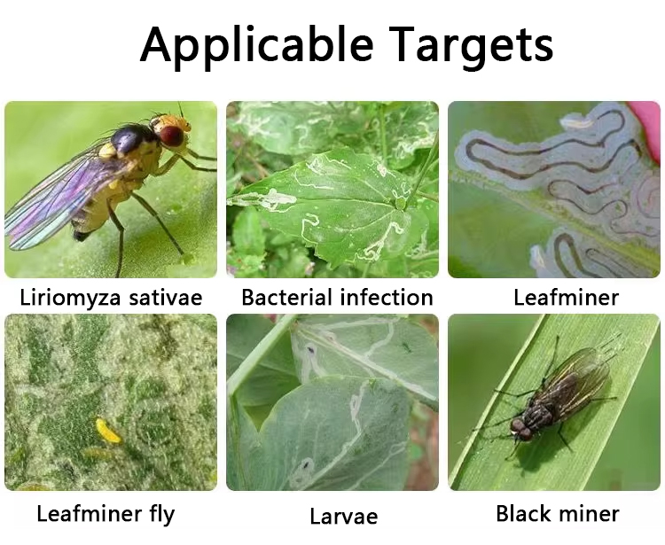 Leafminer Larvicide leaf miner insecticide 100g leafminer killer Larvae ...