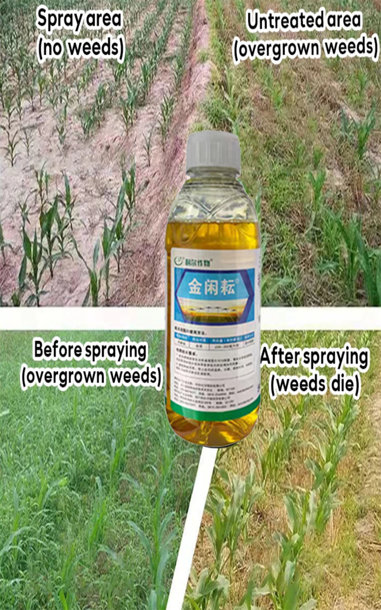 Herbicide grass killer Kill weeds and root rot Strong and high concentration 150g/1000g | Shopee ...