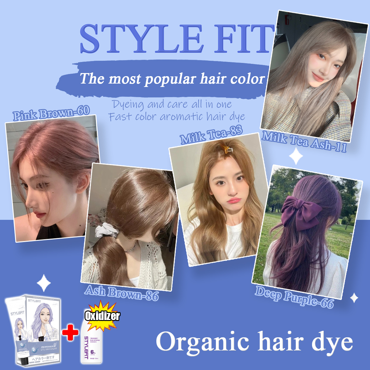 STYLEFIT Hair Color Ash Gray ( 100ml Hair Dye + 100ml Oxidant ...
