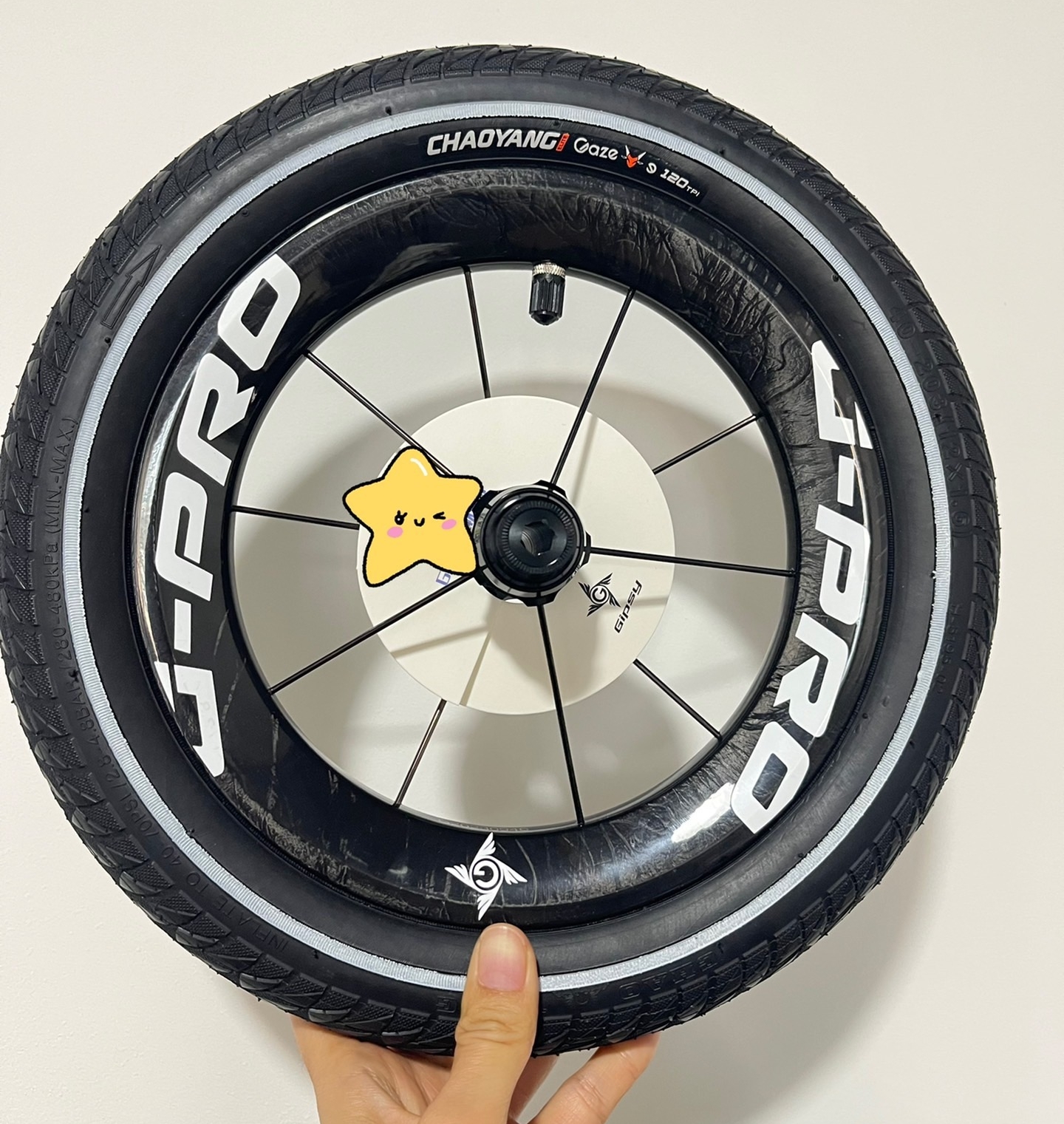 GIPSY Carbon Fiber Wheel Set G-PRO Wheel Hub 12 Inch Children's Balance ...